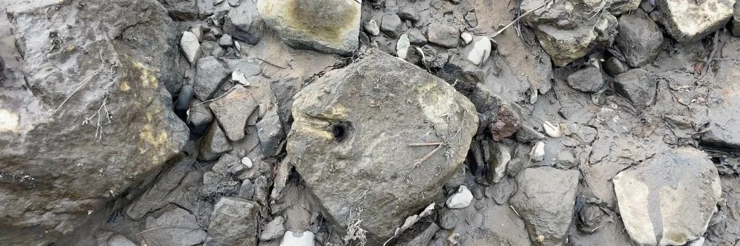 Römisches Industriezentrum am Ufer des Flusses Wear in England entdeckt ...