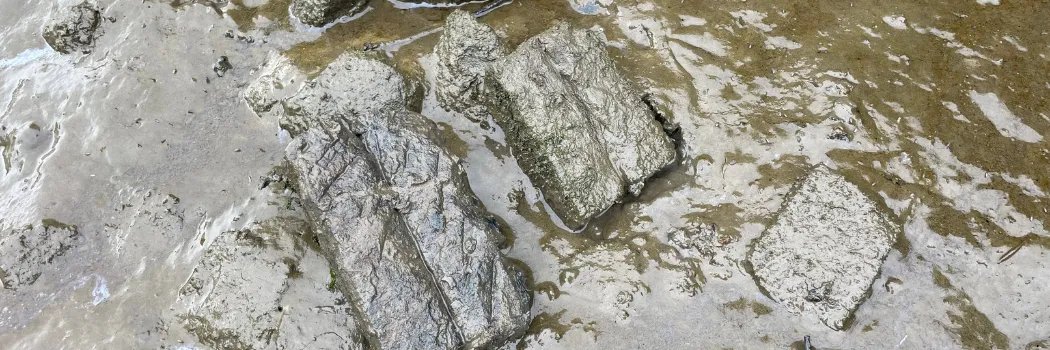 Römisches Industriezentrum am Ufer des Flusses Wear in England entdeckt ...